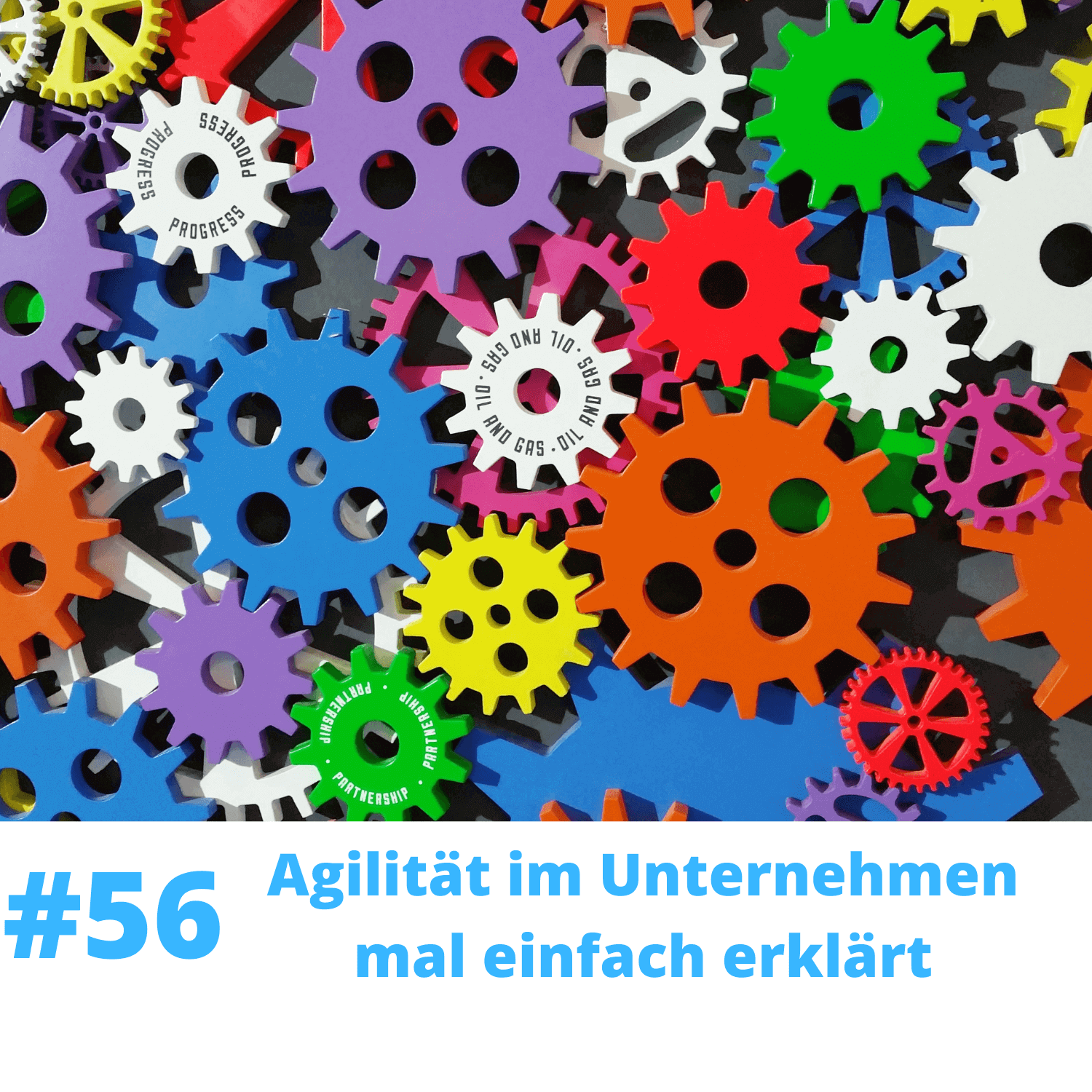 Agilität im Unternehmen mal einfach erklärt mit Cerrin Kresse