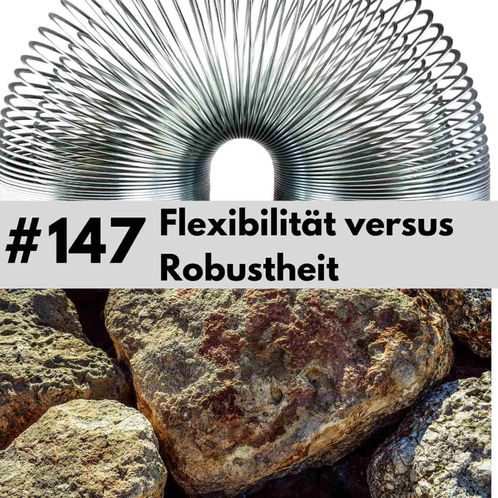 Logistik4punktnull – 147 – Flexibilität vs. Robustheit im ...
